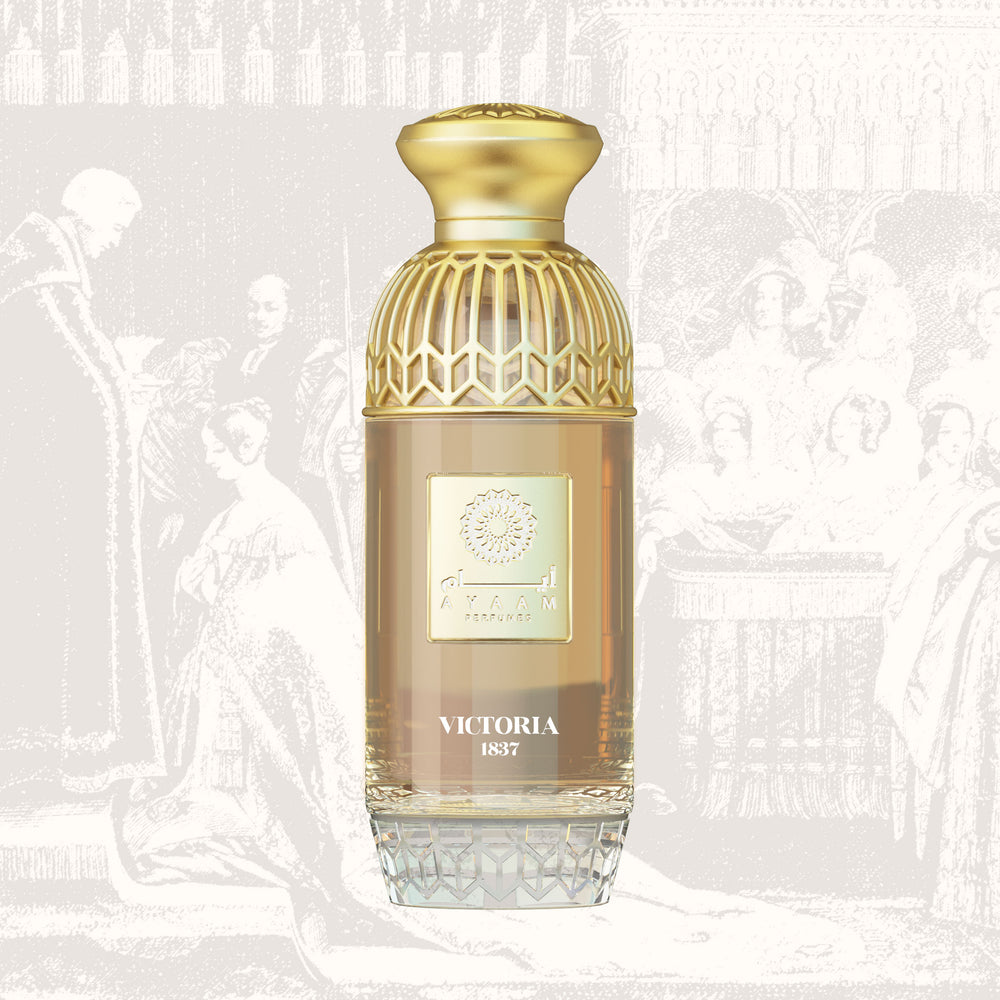 Signature Collection – AYAAM Perfumes